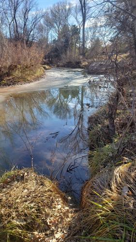 East Verde River winter fishing | Arts & Entertainment | paysonroundup.com