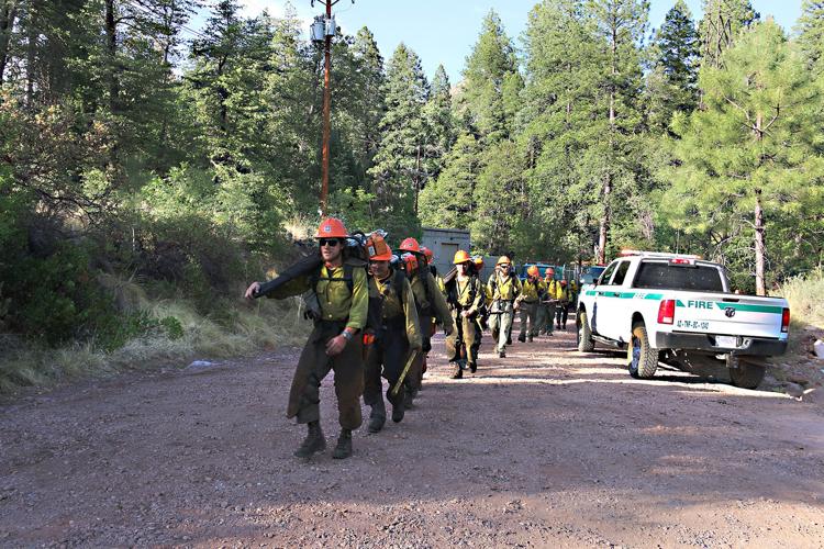 Firefighters snuff out Washington Park fire | Forest Closures Fire ...