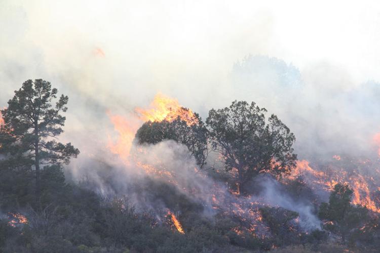 Averting disaster | Local News | paysonroundup.com