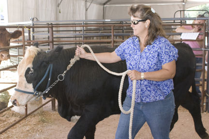 Rim Country’s bounty goes on display for three-day event ...