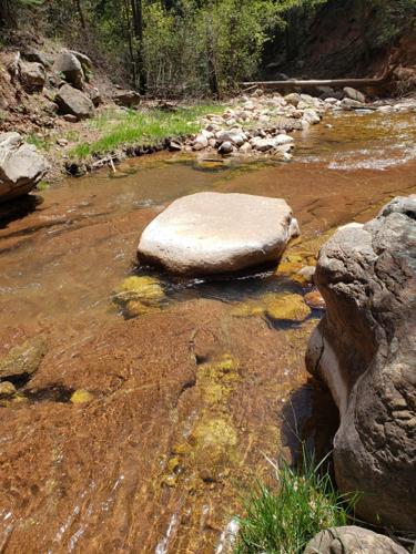 Tonto National Forest reopens and fishing skinny water | Local News ...