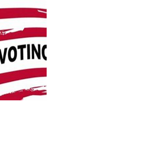 Emergency voting for the Presidential Preference Election | Elections ...