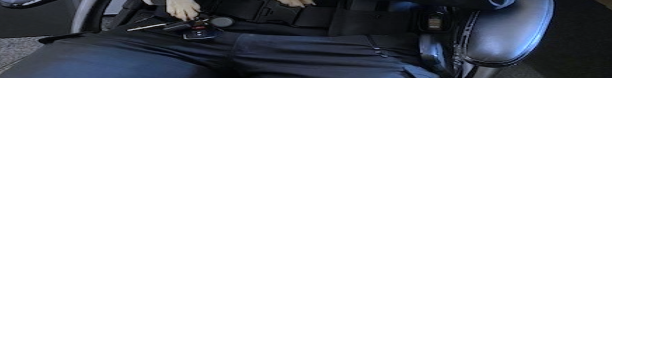 Payson Police ranks increase by two over the holidays | Local News ...