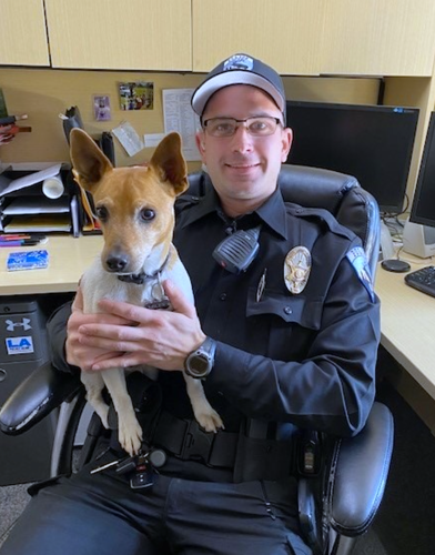 Payson Police ranks increase by two over the holidays | Local News ...