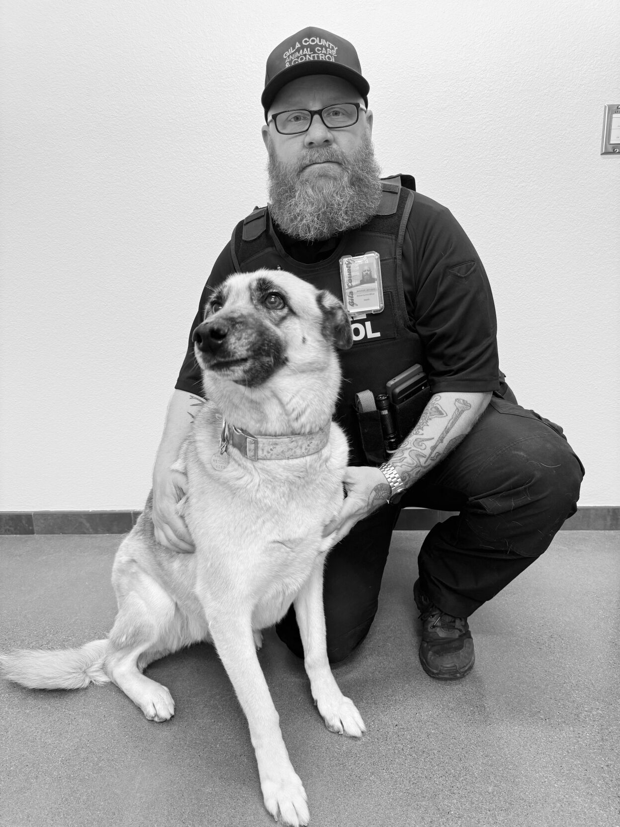 Honoring the Heroes of Gila County Animal Care & Control | News ...