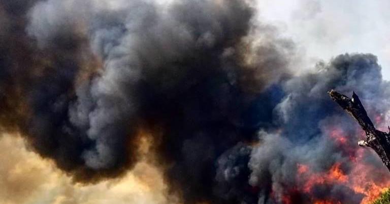 Lightning ignited Chev Fire on the edge of West Chevelon Canyon 108 ...