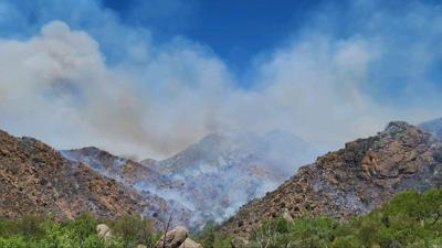 Containment grows on Bush Fire | Local News | paysonroundup.com