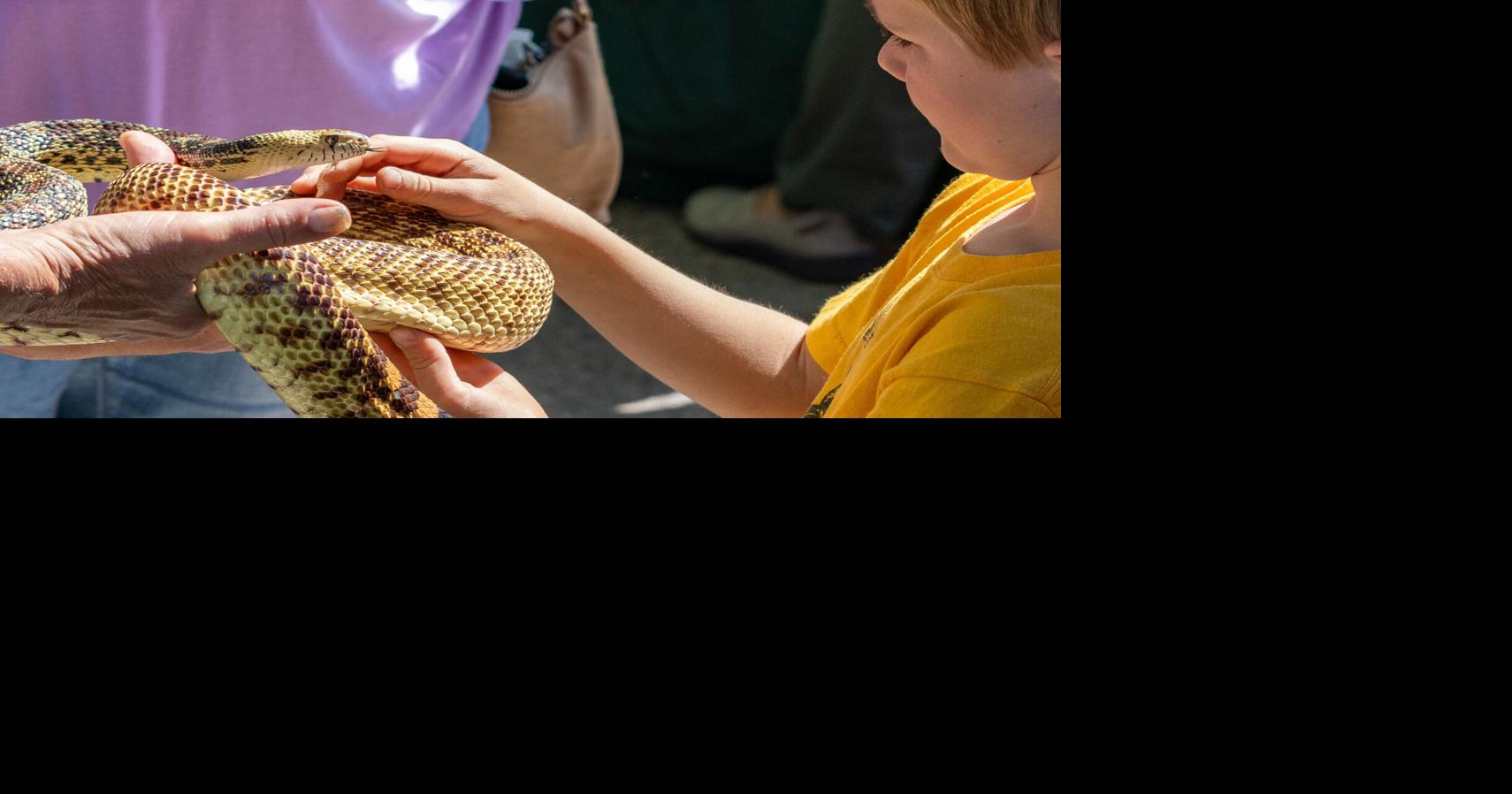 Wildlife Fair celebrates conservation efforts and cute animals | News ...