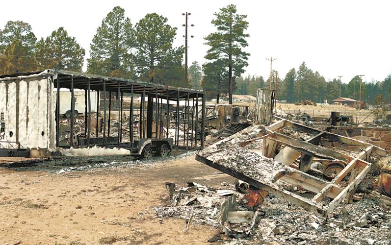 Rodeo-Chediski Burned Out | Catastrophe A Forest In Flames ...