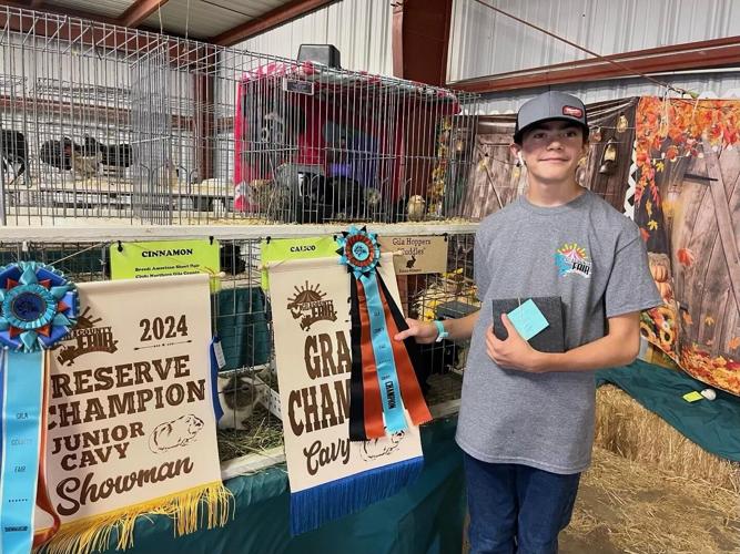 Local 4-H group wins multiple awards at county fair | News ...