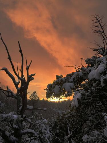 Winter sets in | 260 Connection | paysonroundup.com