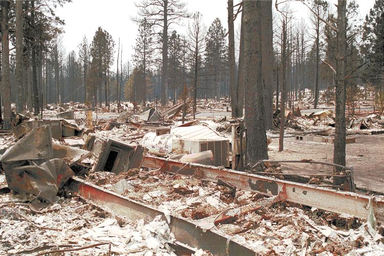 Rodeo-Chediski Burned Out | Catastrophe A Forest In Flames ...