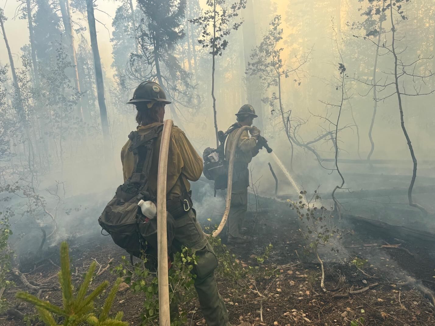 Forest Service will now provide wildland firefighters with masks | News ...