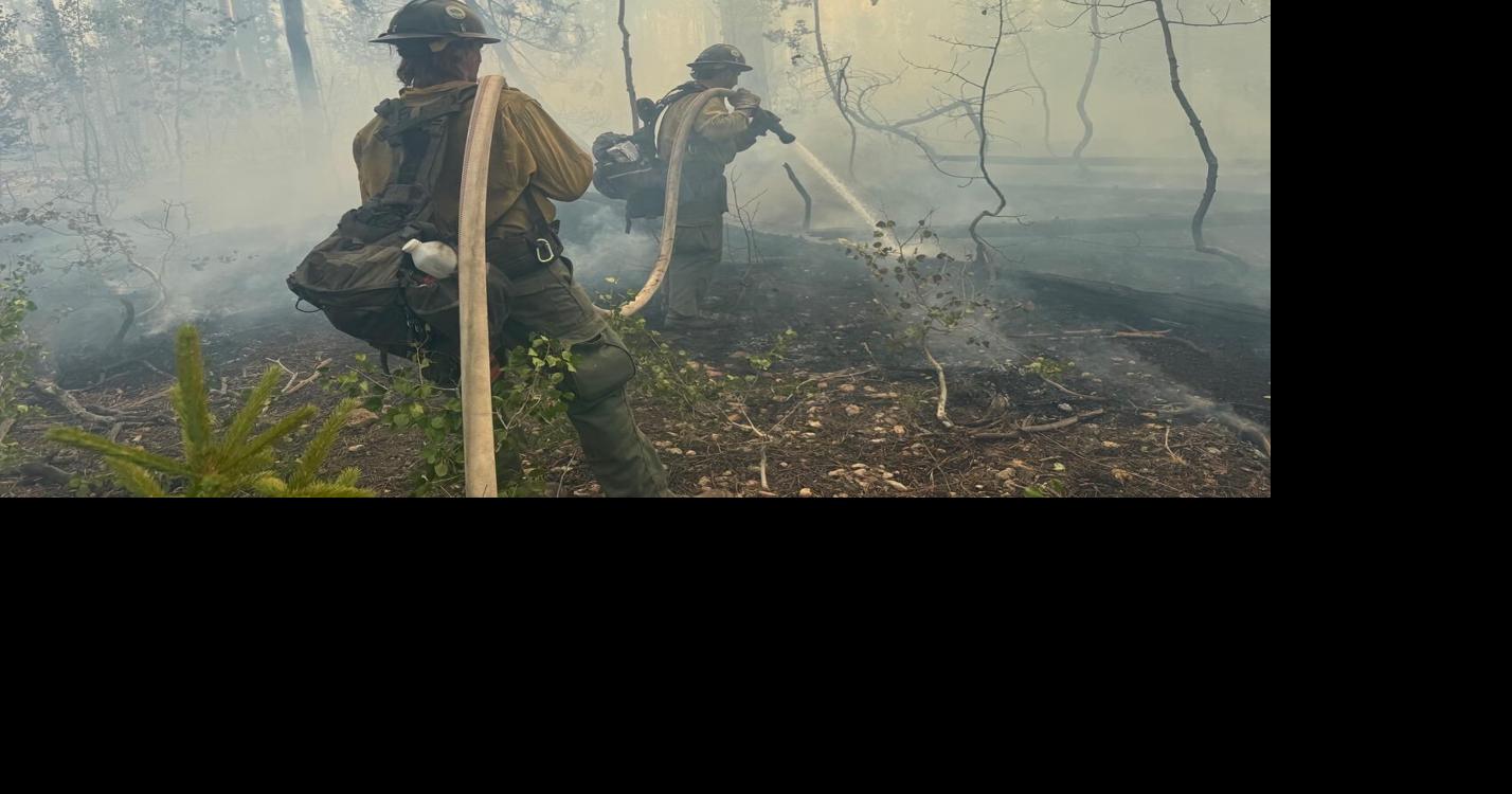 Forest Service will now provide wildland firefighters with masks | News ...