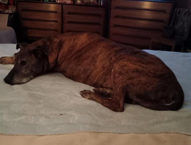 One heck of a year in the beloved community | News | paysonroundup.com