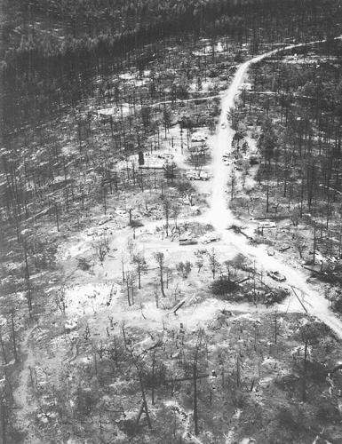 Forest Service launches ambitious effort to restore Dude Fire scar ...