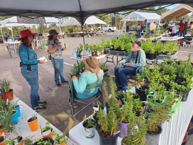 Annual garden club plant sale and raffle coming in May | Events ...