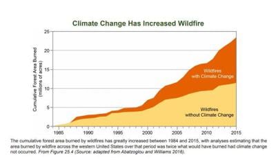 Forest Service fires off new restrictions as danger rises | Forest ...
