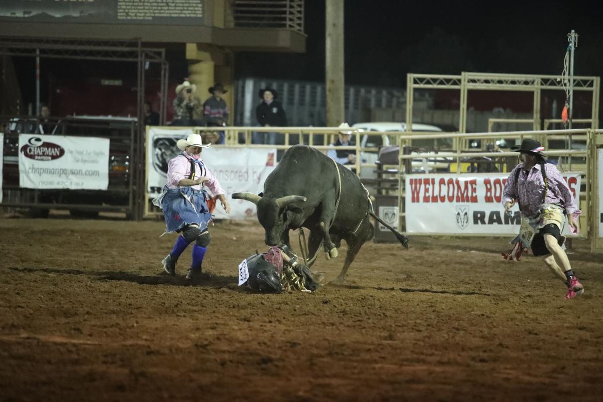 2017 Gary Hardt Memorial Rodeo | Photo Galleries | paysonroundup.com