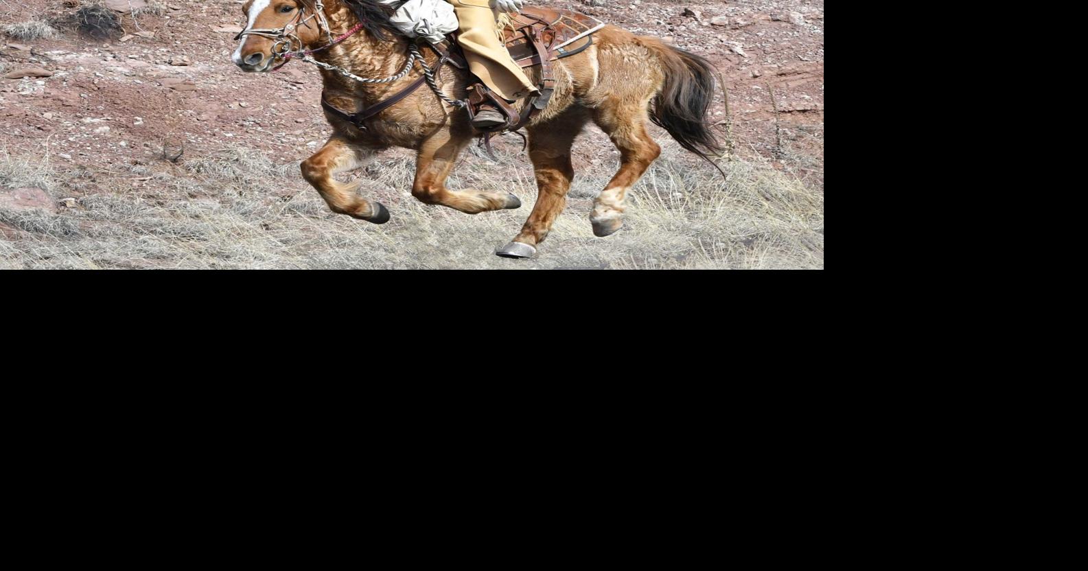 62 years of the Hashknife Pony Express | Local News | paysonroundup.com