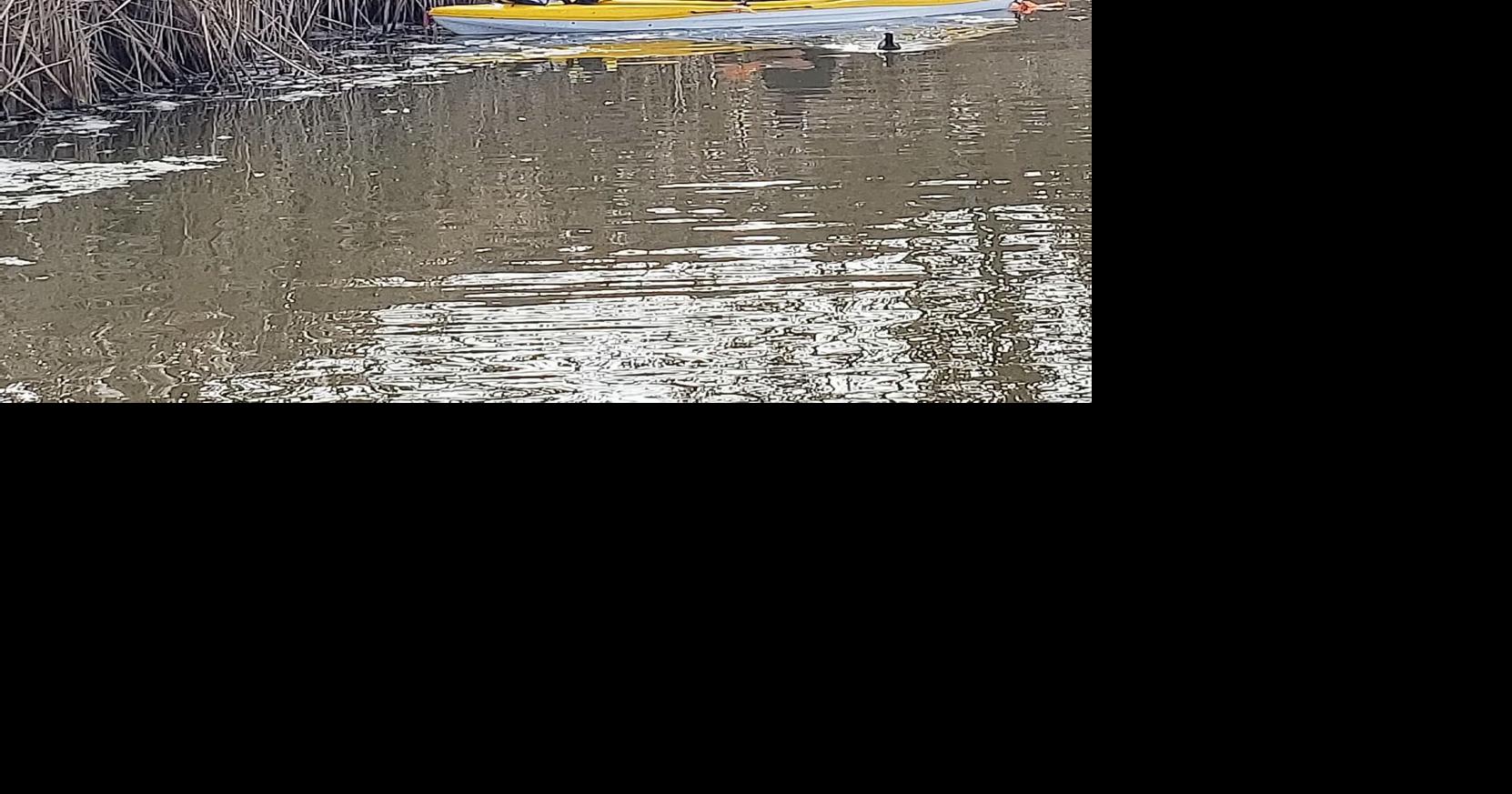 Help wildlife by picking up discarded fishing line, trash | Local News ...