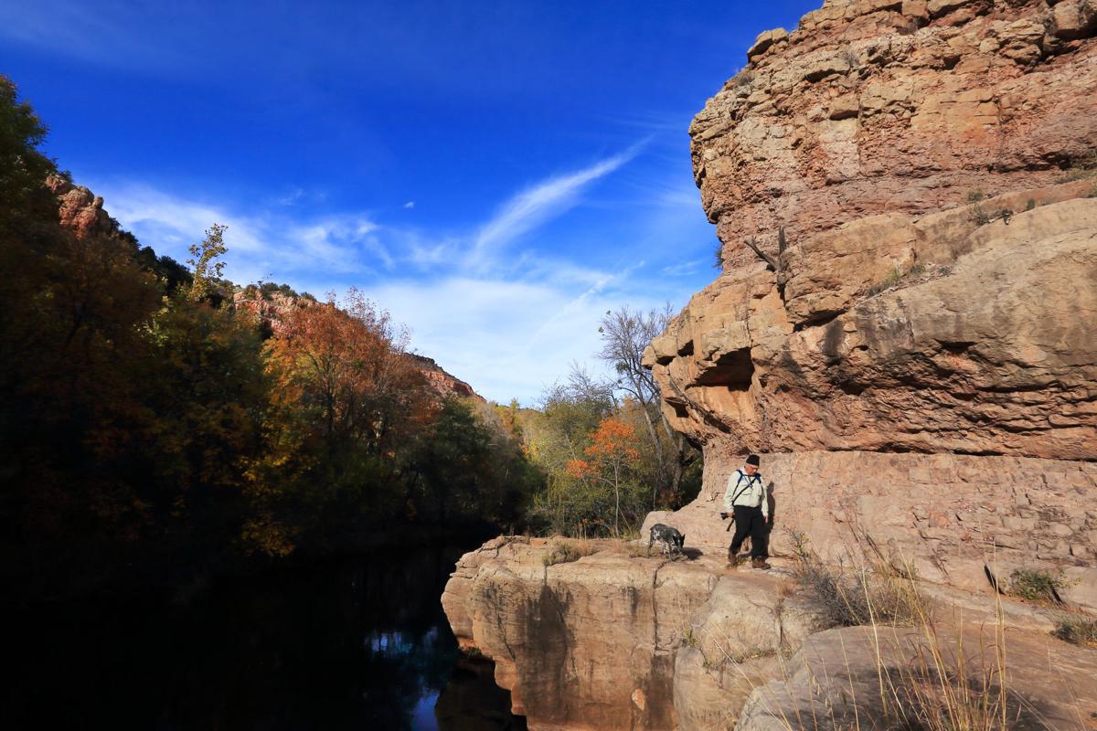 Parsons Trail: The last gasp of fall | Outdoors | paysonroundup.com