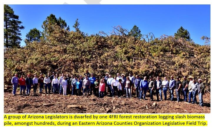 Report: $150-million biomass burning power plant would save billions ...