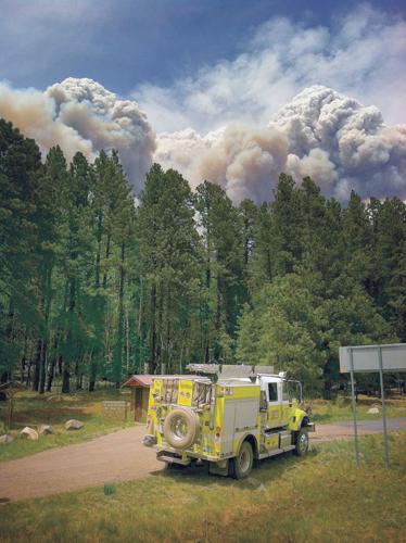 Chapter 32 - Cut down to size: Forest treatments saved Alpine from the ...