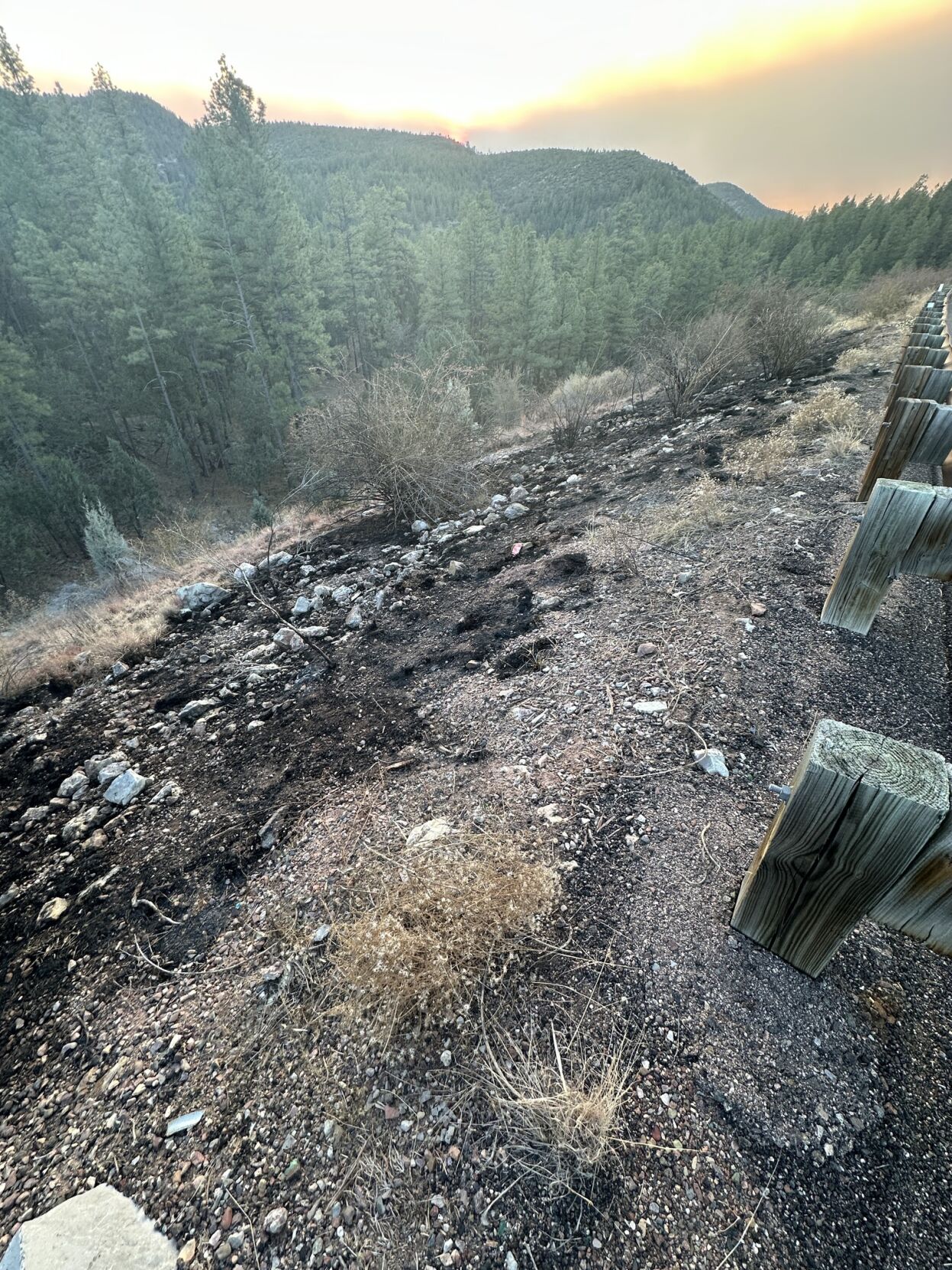 Smoky start to the week thanks to Horton Fire | Forest Closures Fire ...