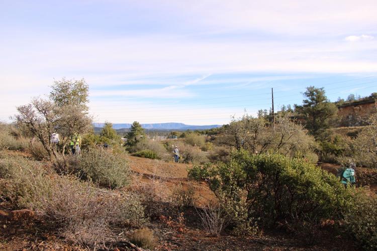 Work gets rolling on mountain bike racetrack | News | paysonroundup.com