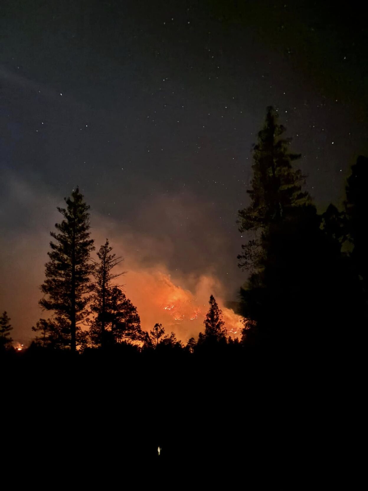 Smoky start to the week thanks to Horton Fire | Forest Closures Fire ...