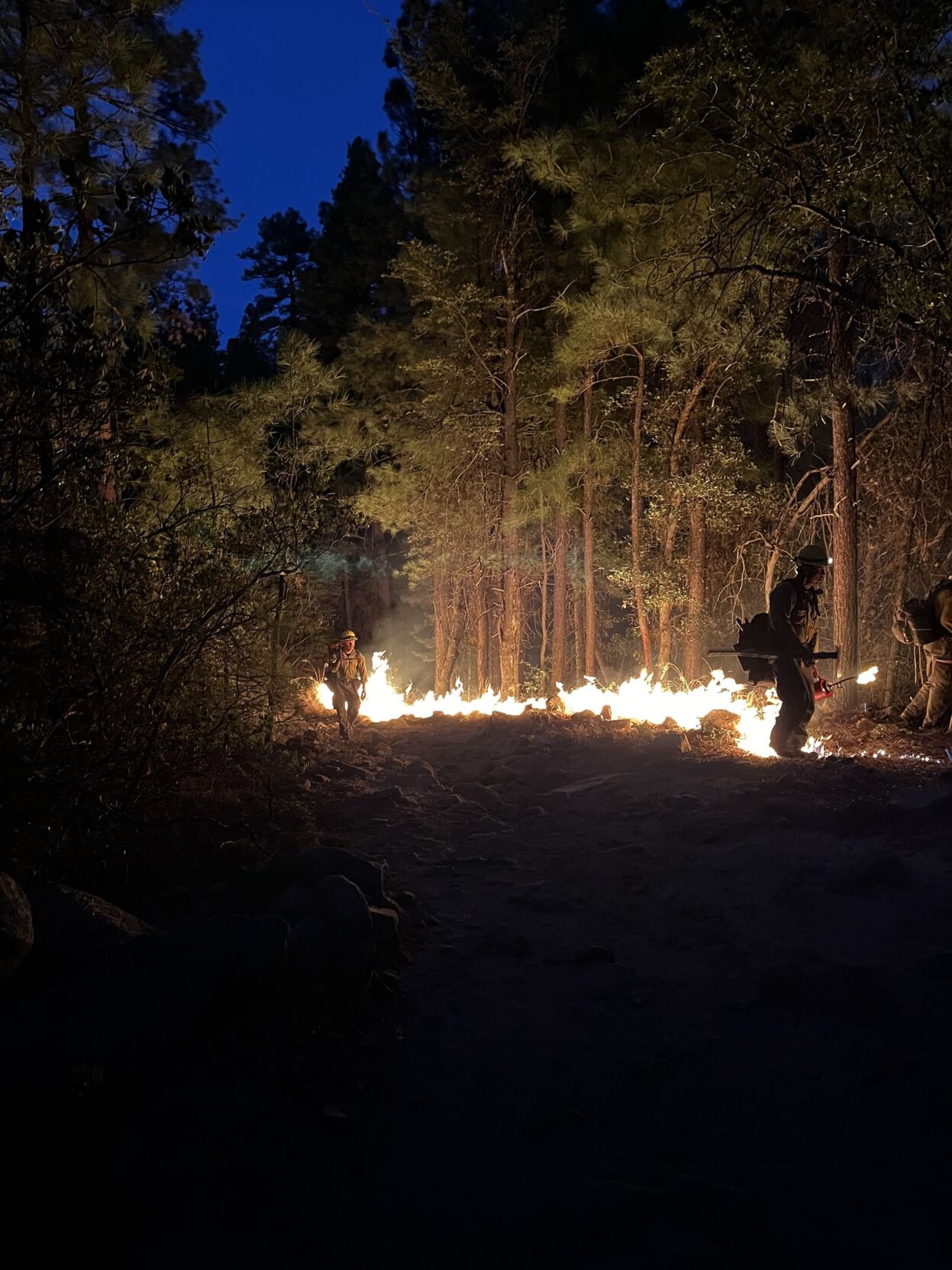 Smoky start to the week thanks to Horton Fire | Forest Closures Fire ...