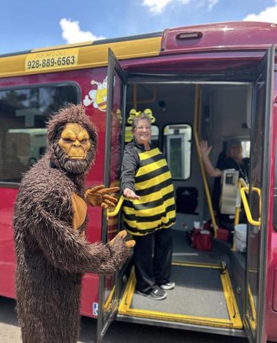 Not just for seniors, Beeline Bus serves all residents | Local News ...