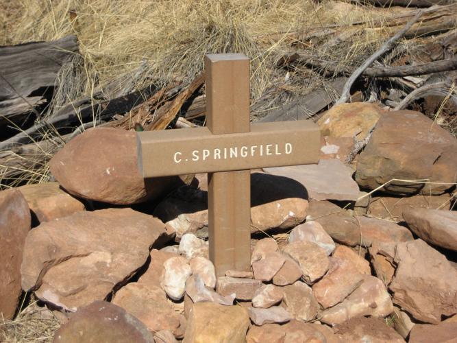 Forest Service launches ambitious effort to restore Dude Fire scar ...