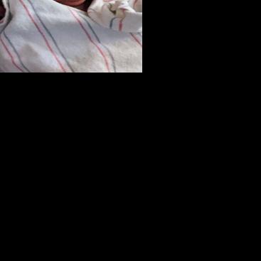 Fifer baby | Birth | paysonroundup.com