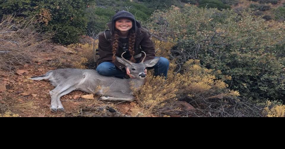 Prepare now for upcoming 2023 pronghorn, elk draw | Hunting & Fishing ...