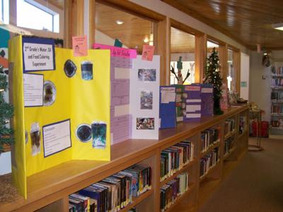 Science fair projects on display at library | Pine/Strawberry ...