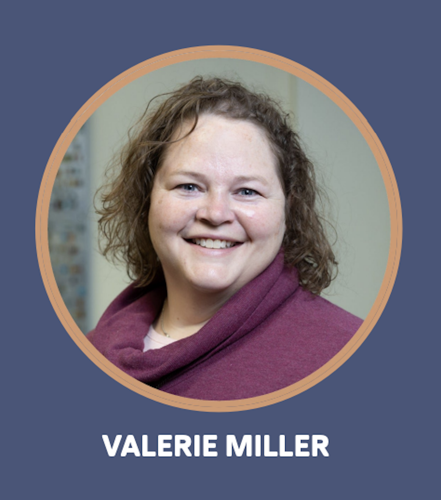 Council gets sneak peek at updated general plan | Local News ...