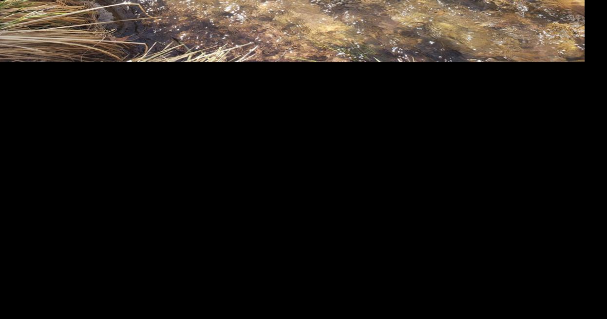 Tonto National Forest reopens and fishing skinny water | Local News ...