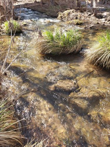 Tonto National Forest reopens and fishing skinny water | Local News ...