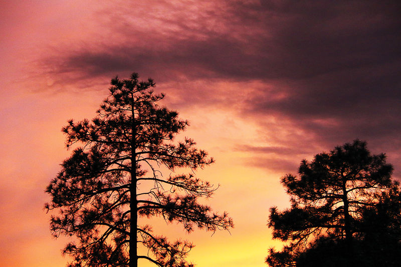 Hiking with the elk in Payson, AZ without leaving town | Hiking ...