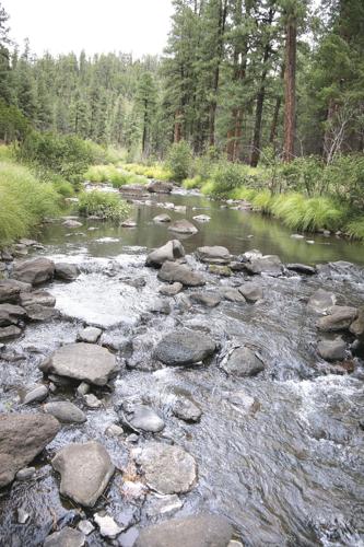 The long tale of the Apache Trout and the Ndee | 260 Connection ...