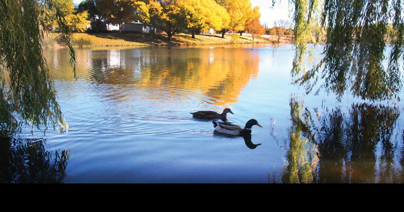 In the shadow of winter | Columnists | paysonroundup.com