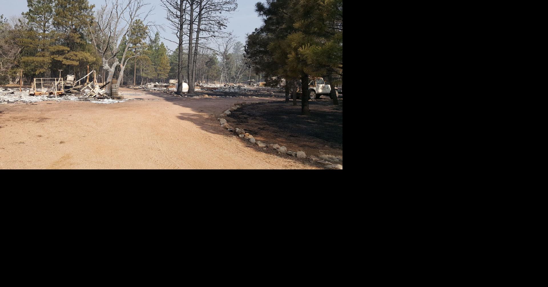 Now is the time to Firewise your property | Forest Management Wildfires ...
