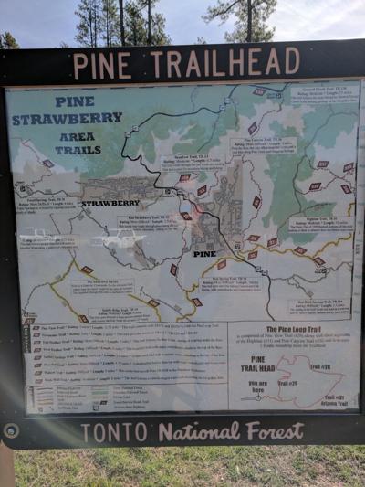 Trails maps help explorers | Pine/Strawberry | paysonroundup.com