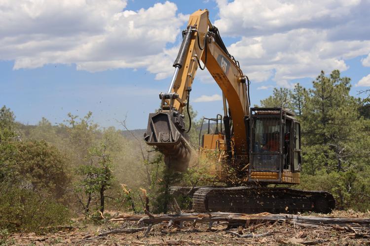 Forest Service launches ambitious effort to restore Dude Fire scar ...