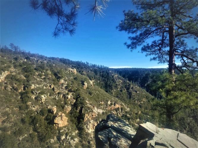 A slice of humble pie atop the Mogollon Rim | 260 Connection ...
