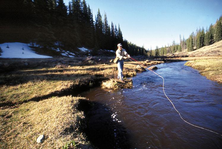 Apache Trout removed from endangered species list | 260 Connection ...