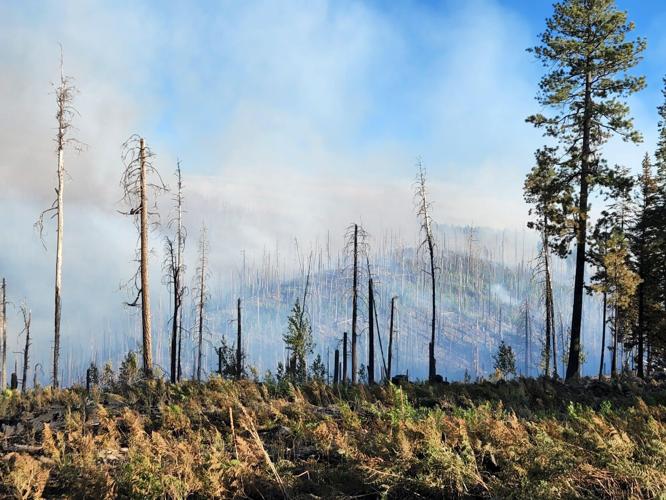 New wildfires spur evacuations in northern Arizona | News ...