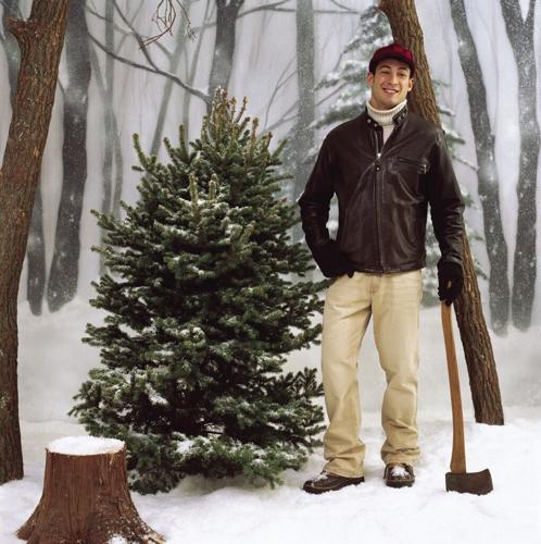 Tonto Christmas tree permit sales | Local News | paysonroundup.com